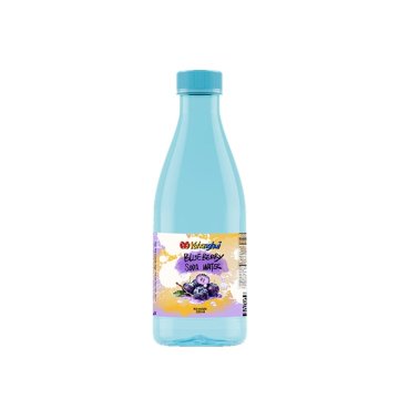 Wholesale PET Bottled Blueberry Soda Supply | Antioxidant Sparkling ...